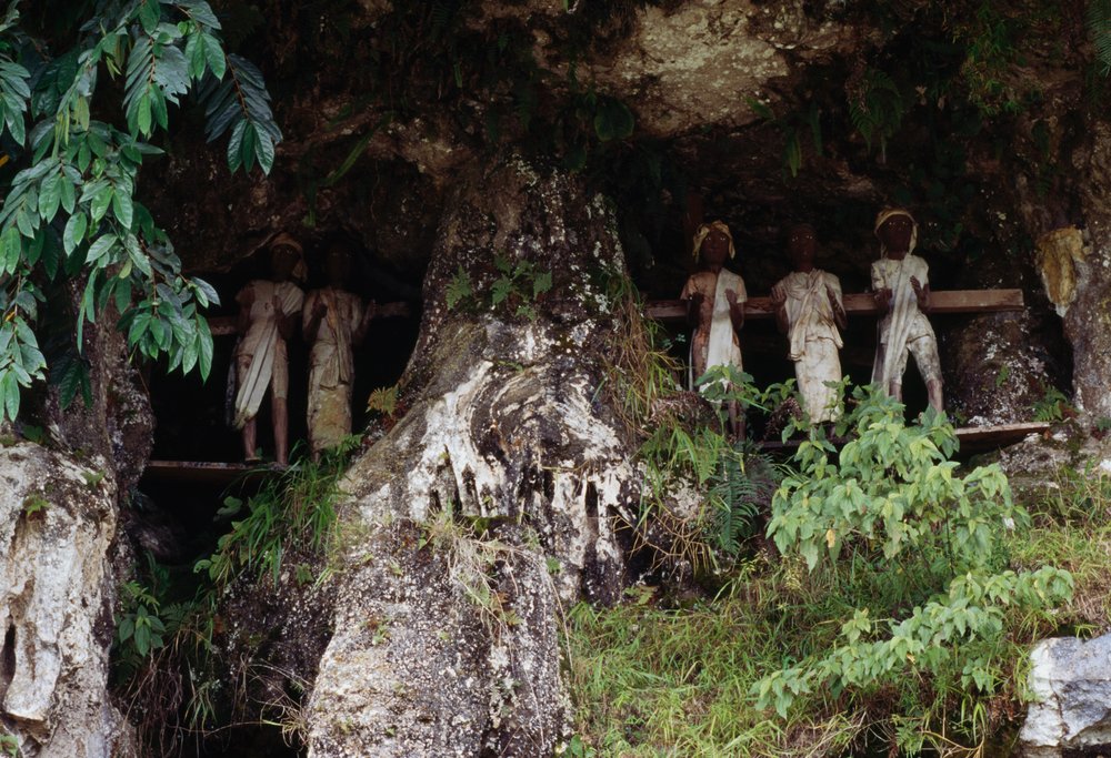 Funeral Niches with Tau Tau Mortuary Figures, Marrante Village, Tana ...
