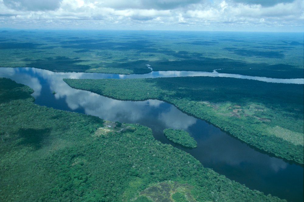 Venezuela, Guayana, Amazonas State, Orinoco River, aerial view