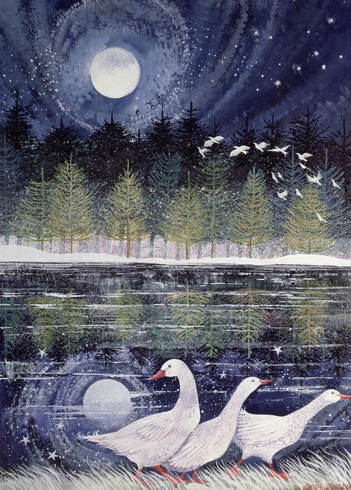 Snow Geese by Lisa Graa Jensen: Buy fine art print