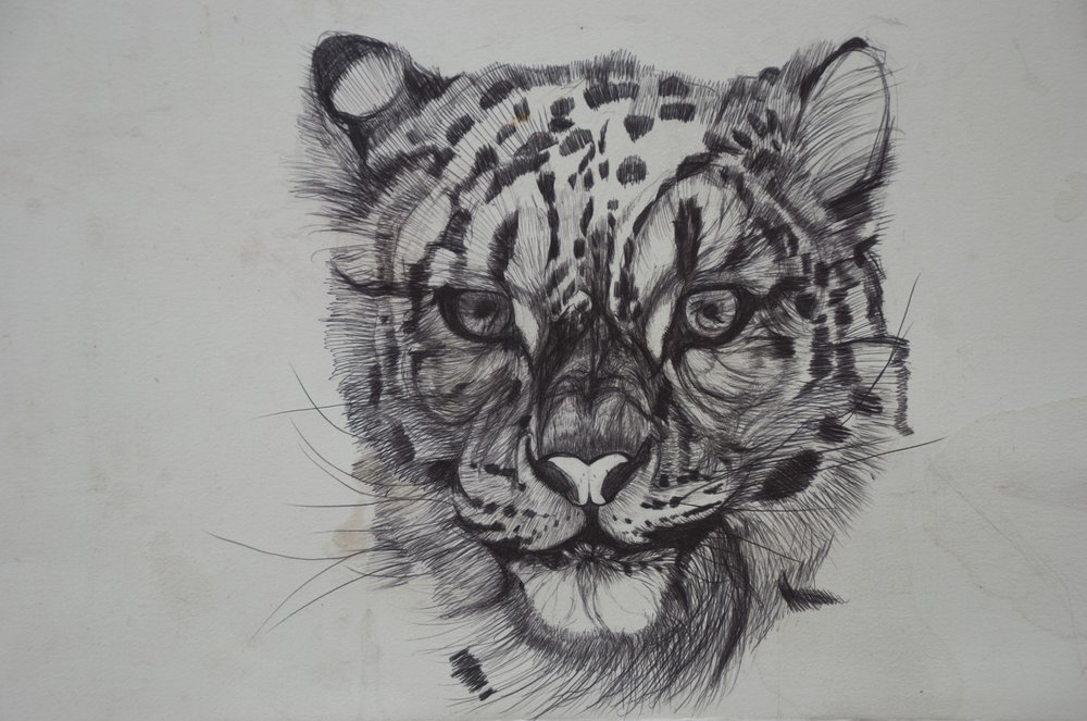 Snow Leopard by Lou Gibbs: Highest-quality art reproduction
