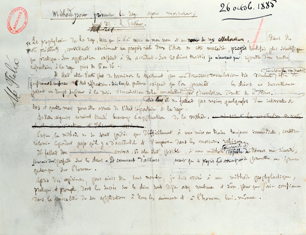 Pasteur's Method to Prevent the Spread of Rabies After Being Bitten ...