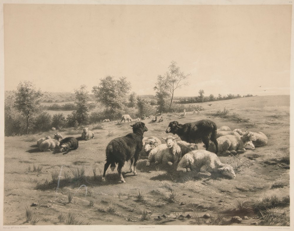 The Sheep by Louis Emmanuel Soulange-Teissier