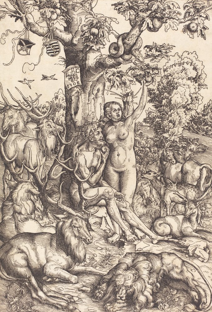 Adam and Eve by Lucas Cranach the Elder: Fine art print