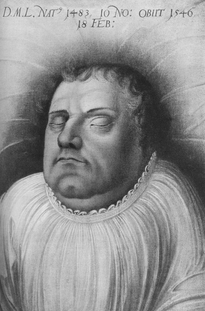 Martin Luther, German Monk, Priest, Professor of Theology and Seminal ...
