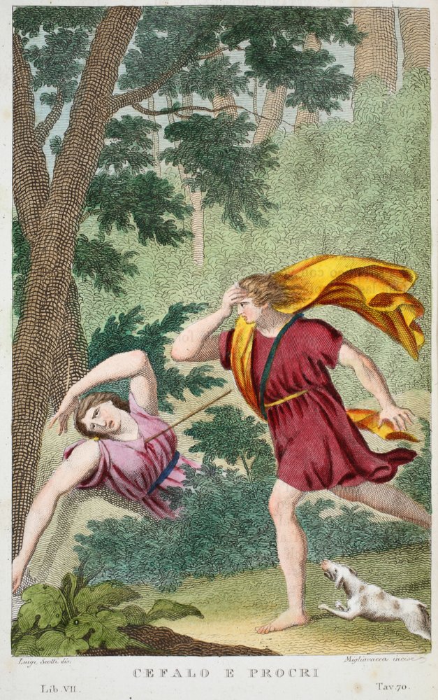 Cephalus and Procris or Cefalo e Procri, Book VII, illustration from ...