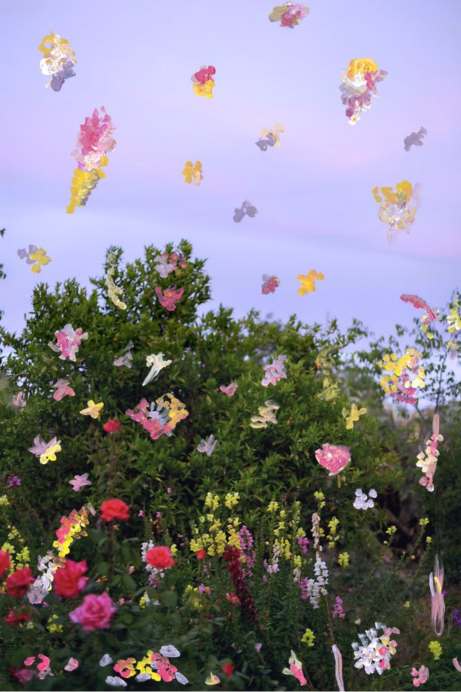 Abstracted Flowers by Madeleine Gross: Buy fine art print