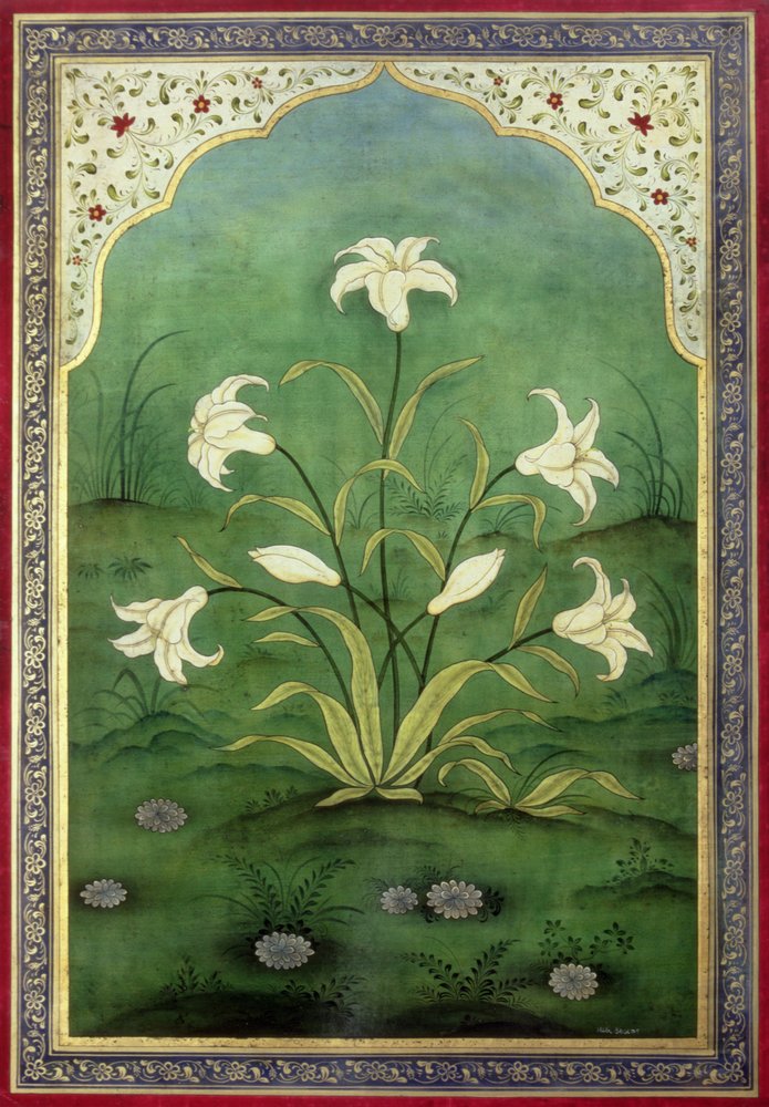 White Lilies by Mark Briscoe: Buy fine art print