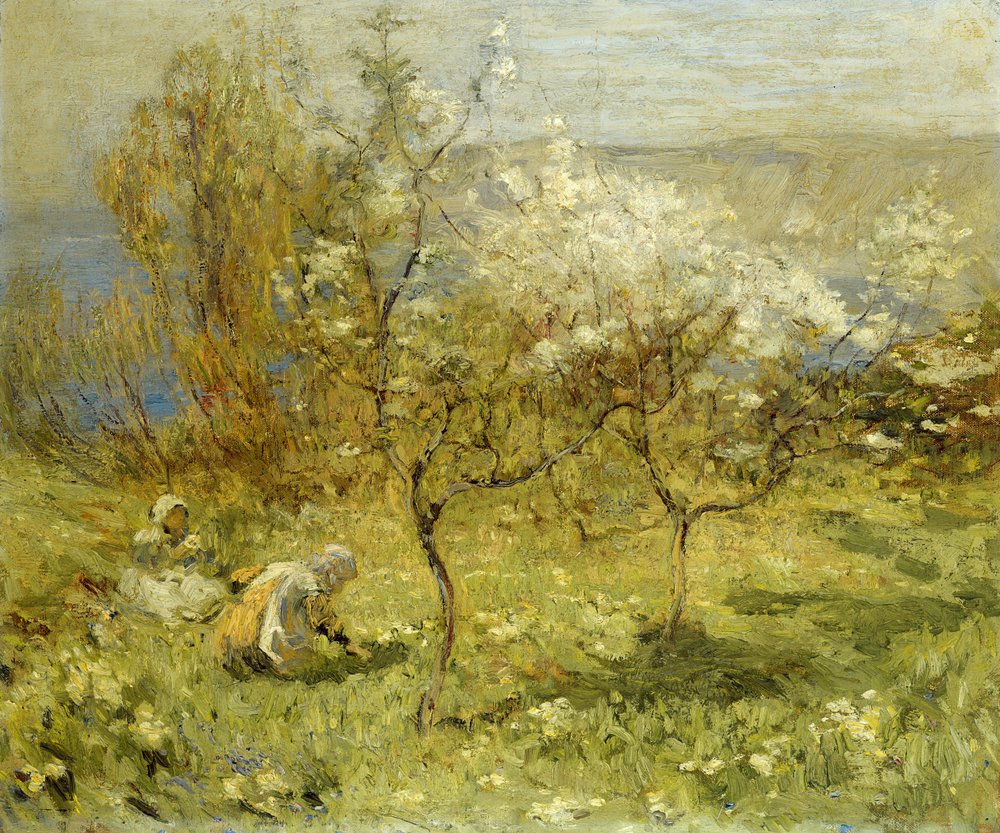 Apple Blossoms by Mark Senior: Buy fine art print
