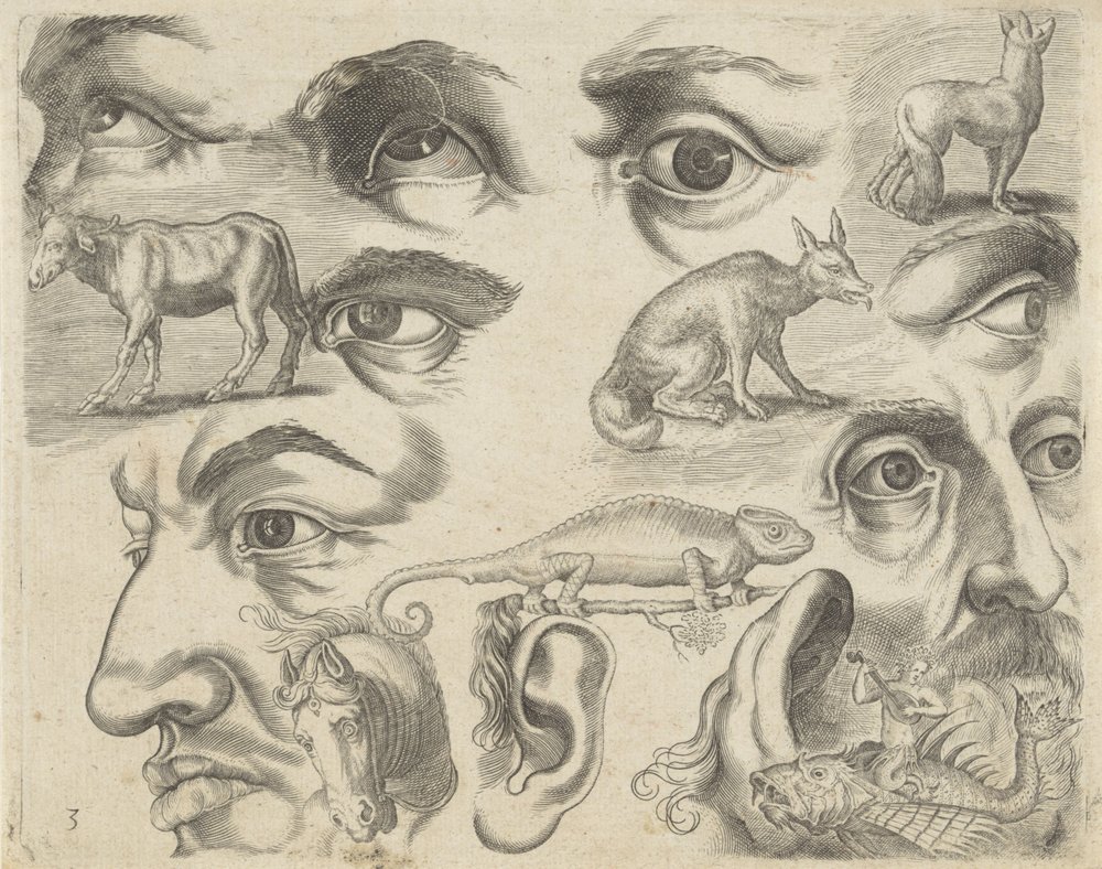 Study Sheet with Drawing Examples: Eyes, Heads, and Animals (Series ...