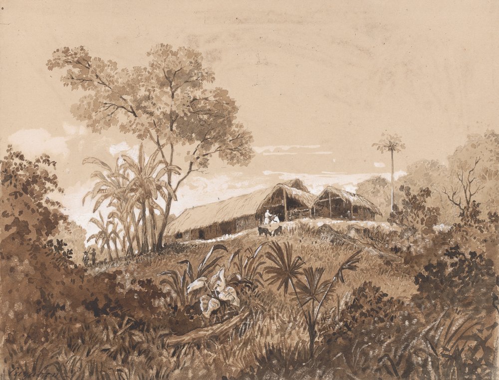 The Cottage, Mount Tamana by Michel Jean Cazabon