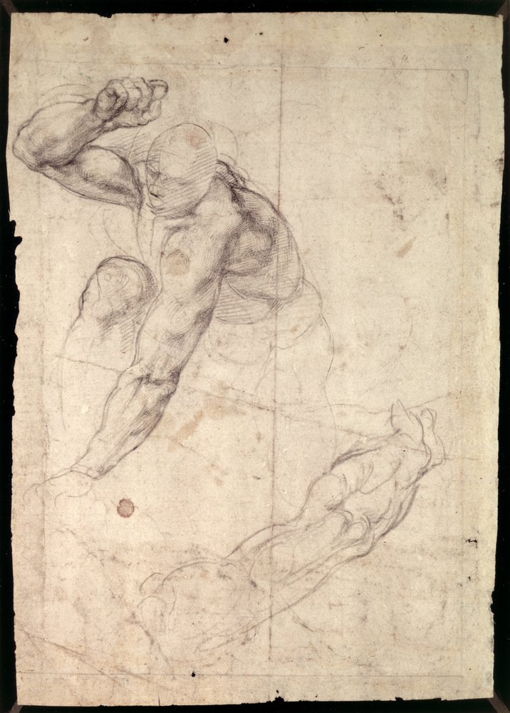 Male Figure Study by Michelangelo Buonarroti