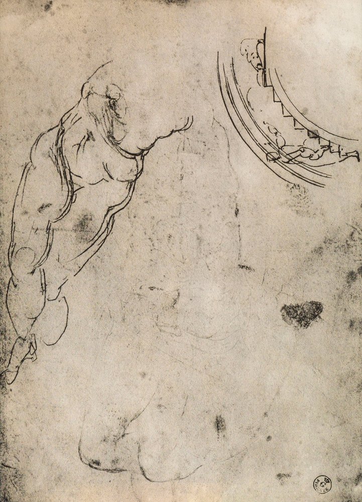 Male Legs by Michelangelo Buonarroti: Buy fine art print