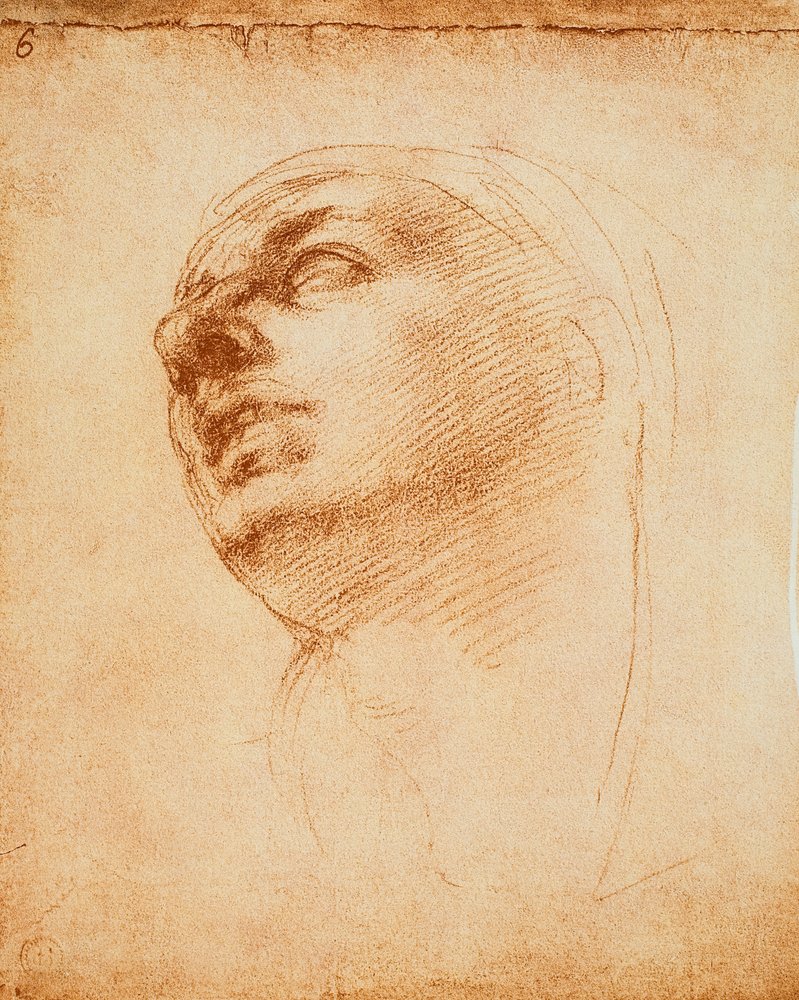 Study of a face by Michelangelo Buonarroti: Fine art print