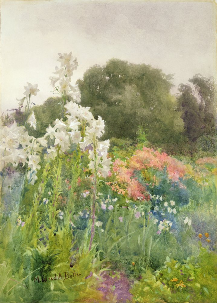 Madonna Lilies by Mildred Anne Butler: Buy fine art print