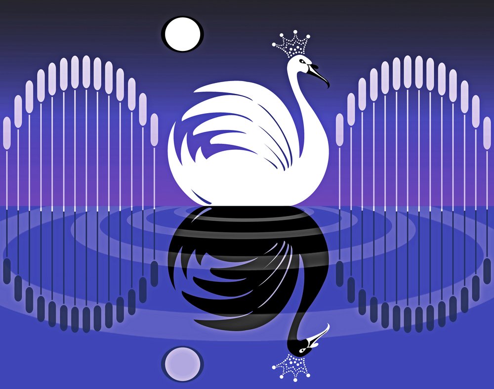 Swan Lake II by Neale Osborne: Buy fine art print