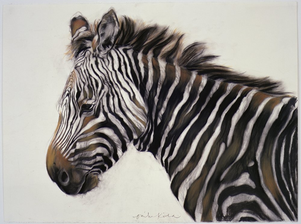 Zebra by Odile Kidd: Highest-quality art reproduction