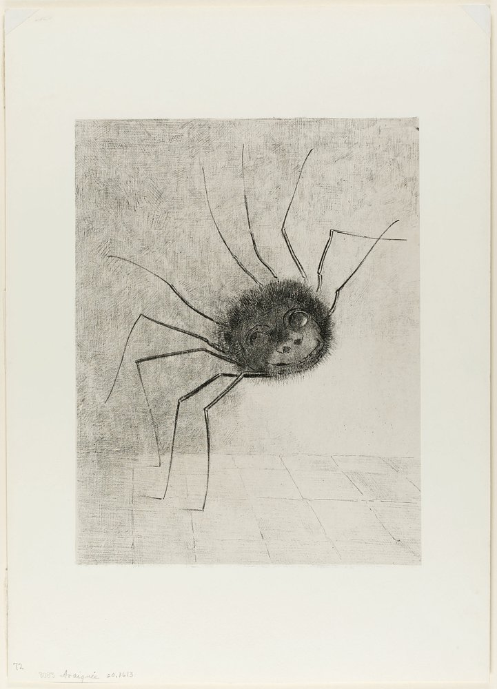 Spider by Odilon Redon: Highest-quality art reproduction