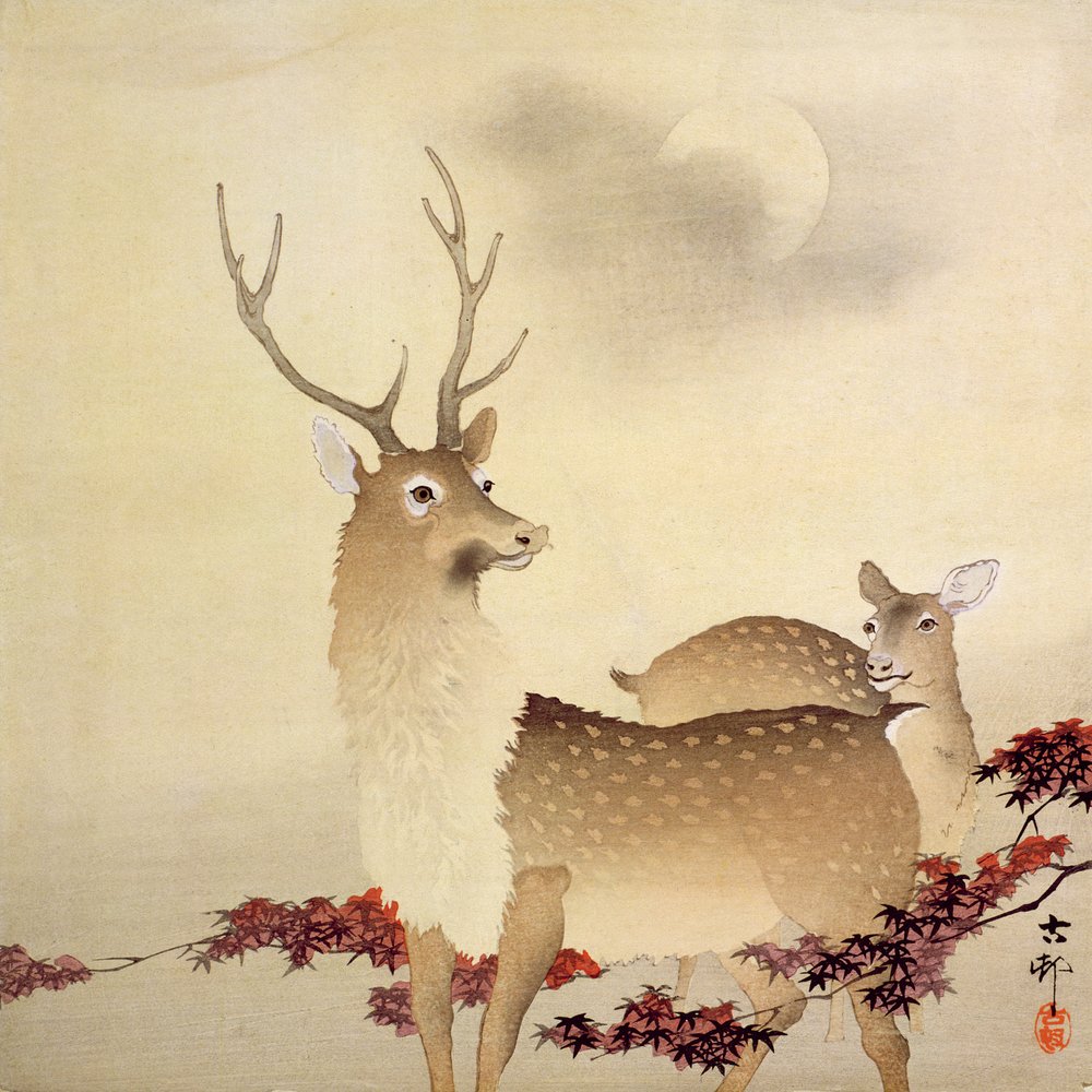 A stag and its young under the moon, c.1930 by Ohara Koson