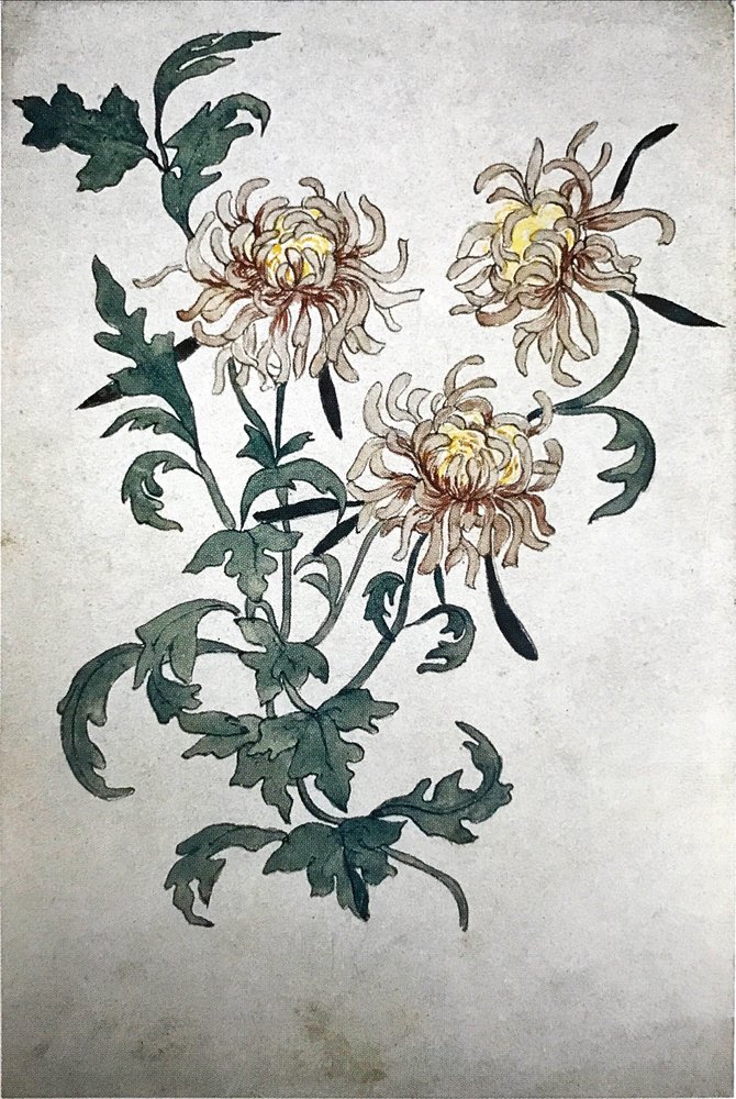 Flowers by Olga Rozanova: Highest-quality art reproduction