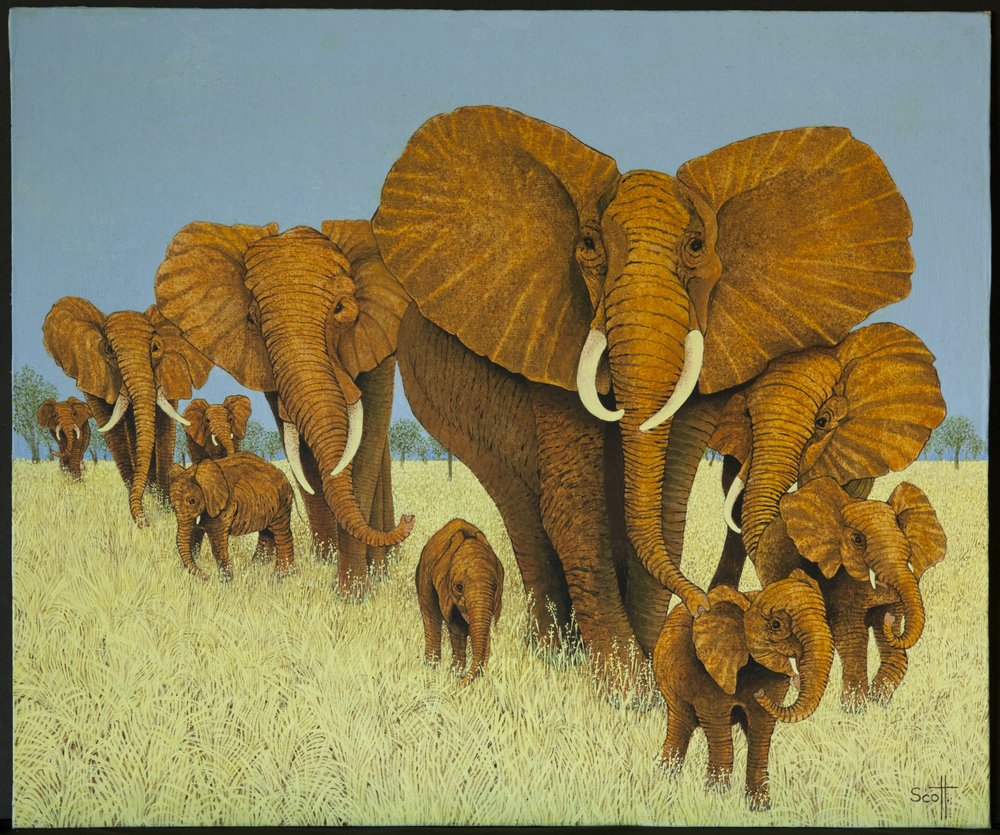Enormous but Caring by Pat Scott: Buy fine art print