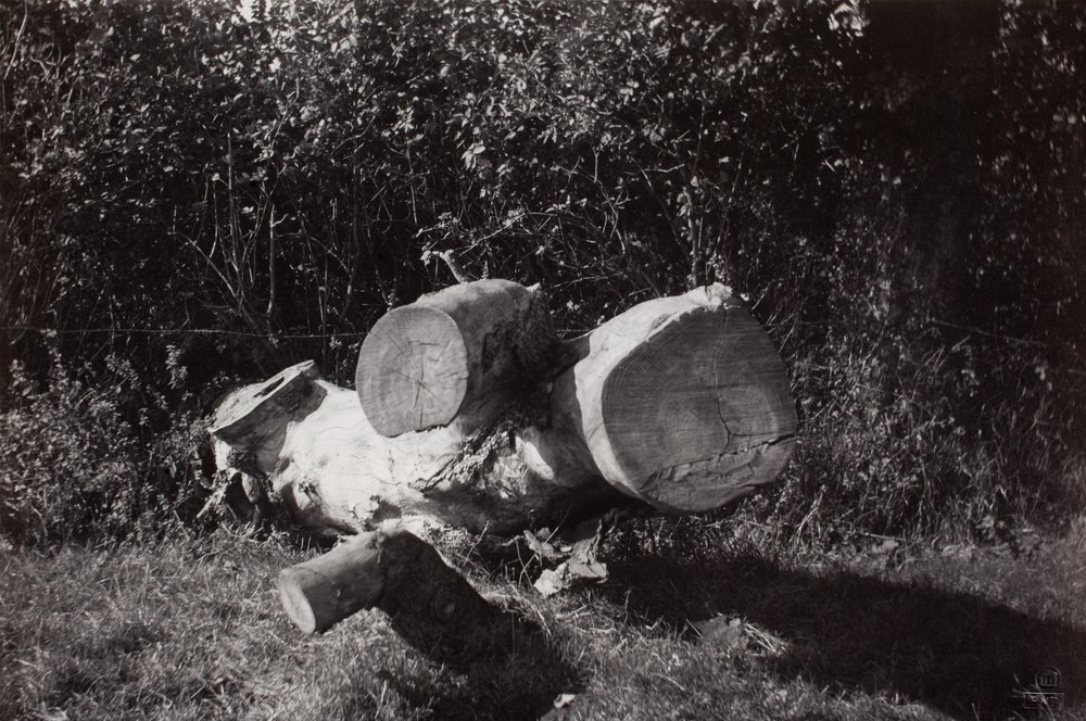 Object Trouve by Paul Nash: Highest-quality art reproduction