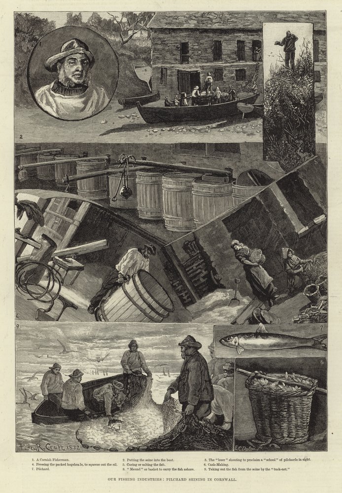 Our Fishing Industries: Pilchard Seining in Cornwall