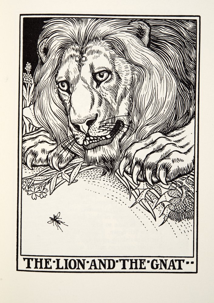 The Lion and the Gnat, from Fontaine Fables
