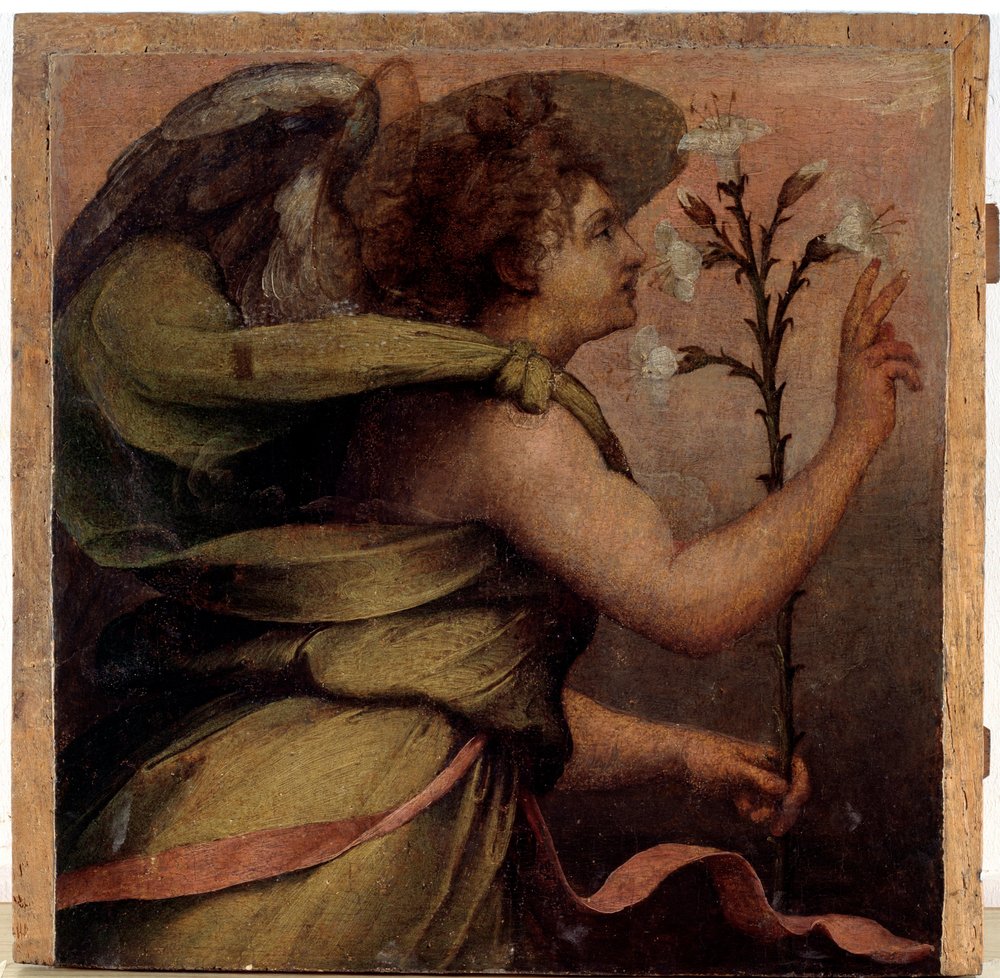 Angel of the Annunciation (detail) by Perino del Vaga