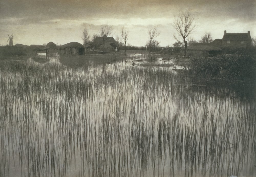 A Rushy Shore, Life and Landscape on the Norfolk Broads