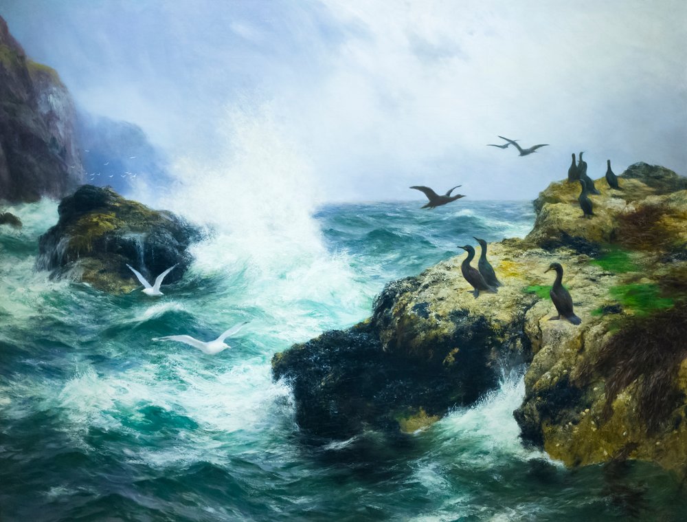 Rocky Shore by Peter Graham: High-quality fine art print