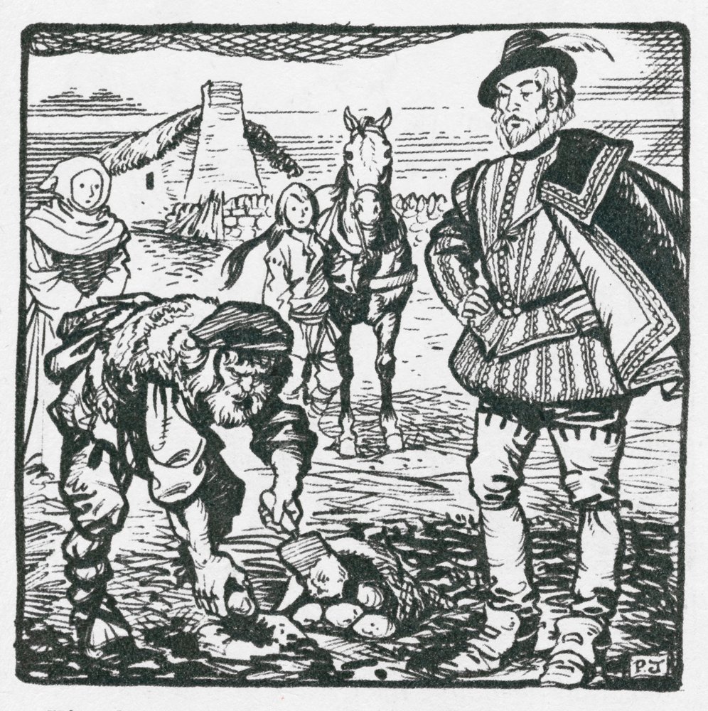 Sir Walter Raleigh Introducing Potatoes from America