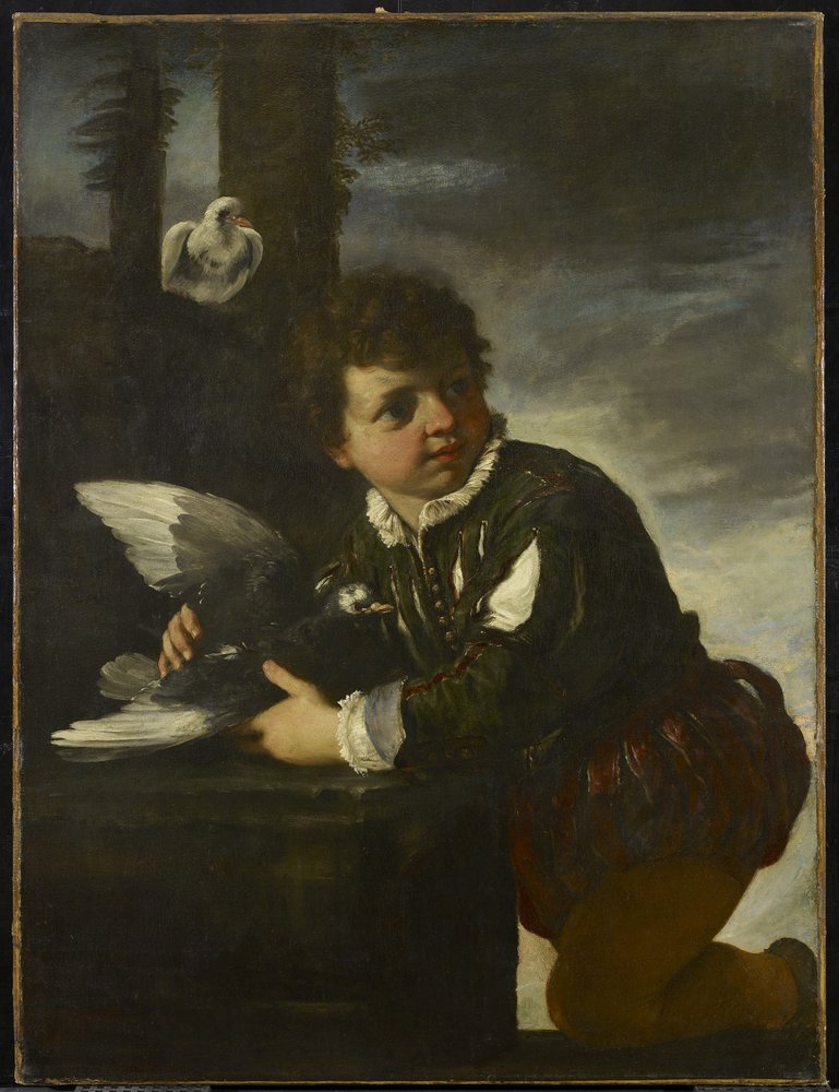 Boy with a Dove by Pier Francesco Mola: Buy fine art print