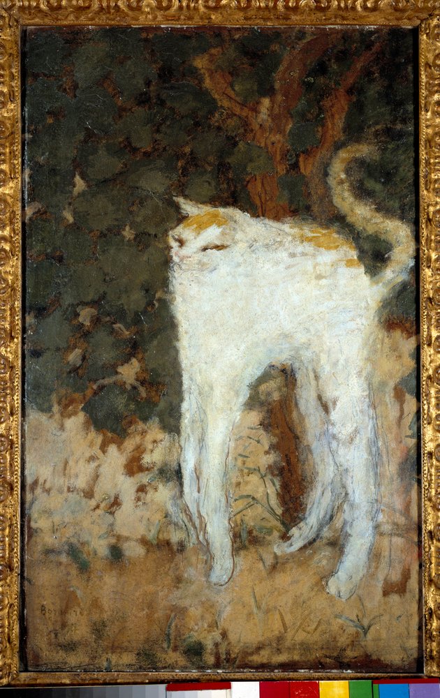 The White Cat by Pierre Bonnard: Buy fine art print