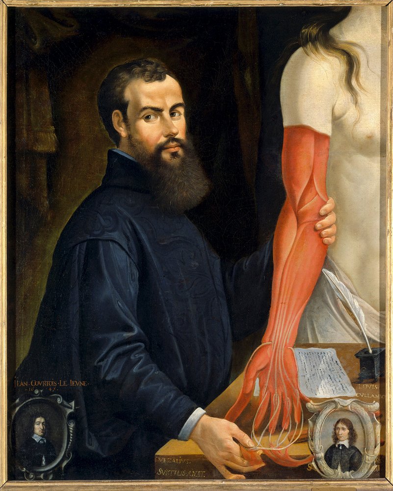 Portrait of Andrea Vesalius, Anatomist and Doctor of Charles V