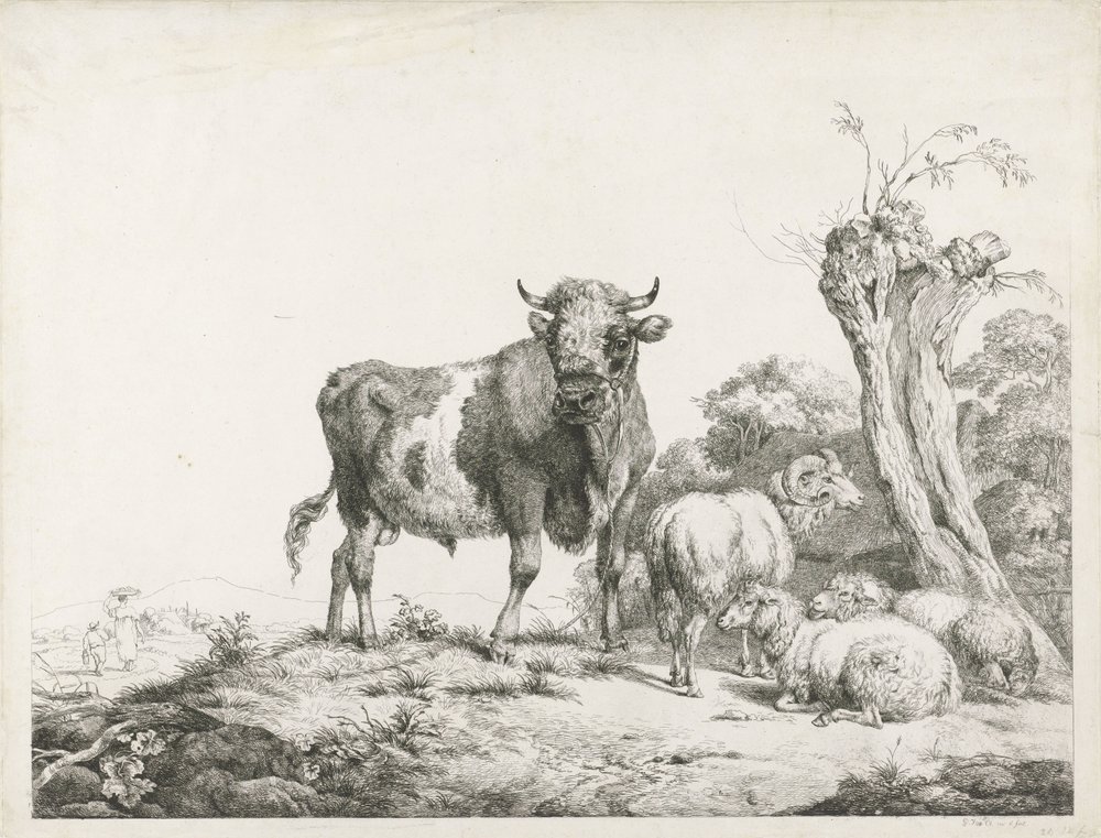 A Bull, a Ram, and Two Lying Sheep by a Pollard Willow