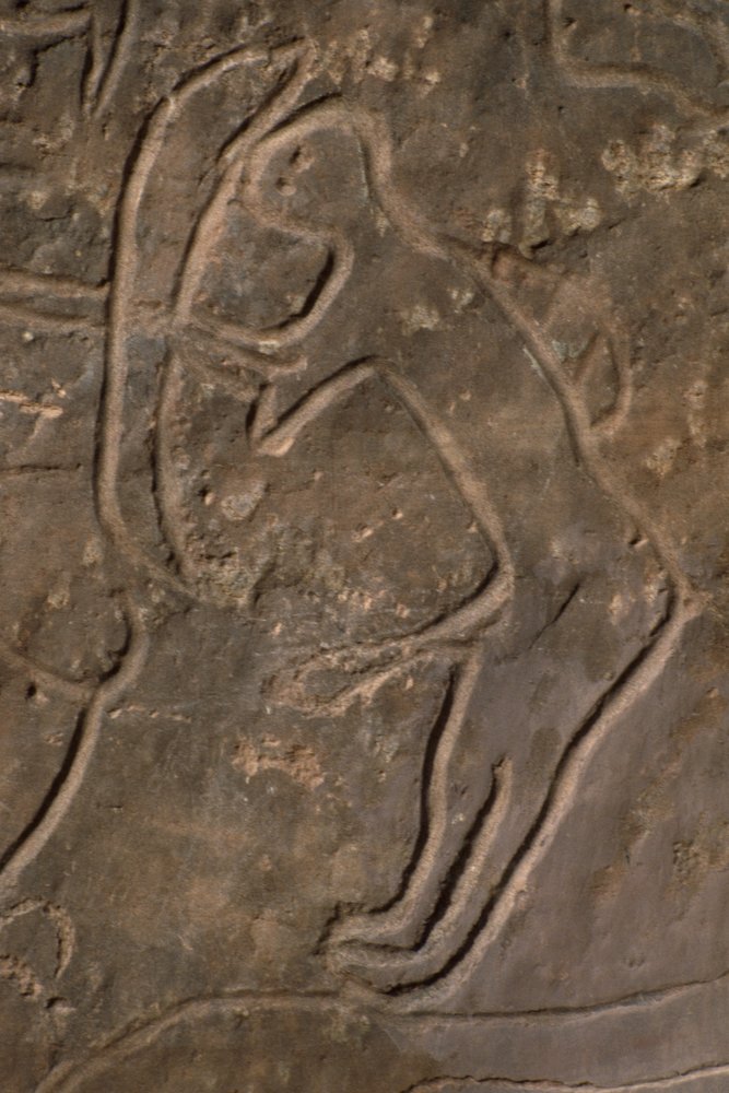 Human Figure and Bull's Head by Prehistoric