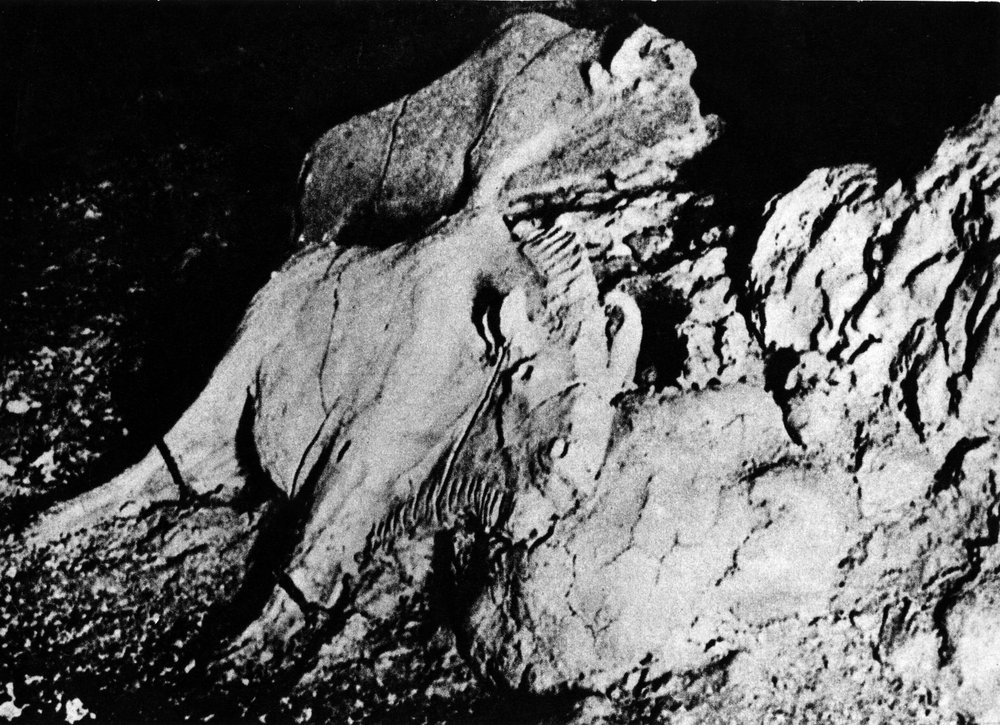 Prehistory: Paleolithic Art, Two Clay Bison, Cave of the Tuc d ...