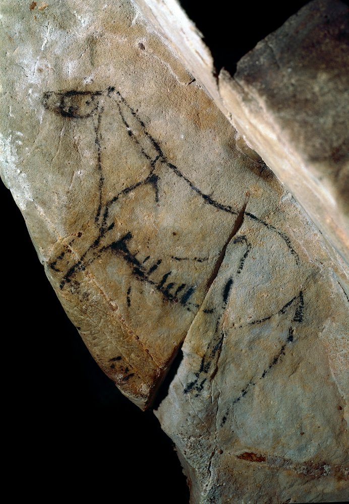A Horse (rock painting) by Prehistoric Prehistoric