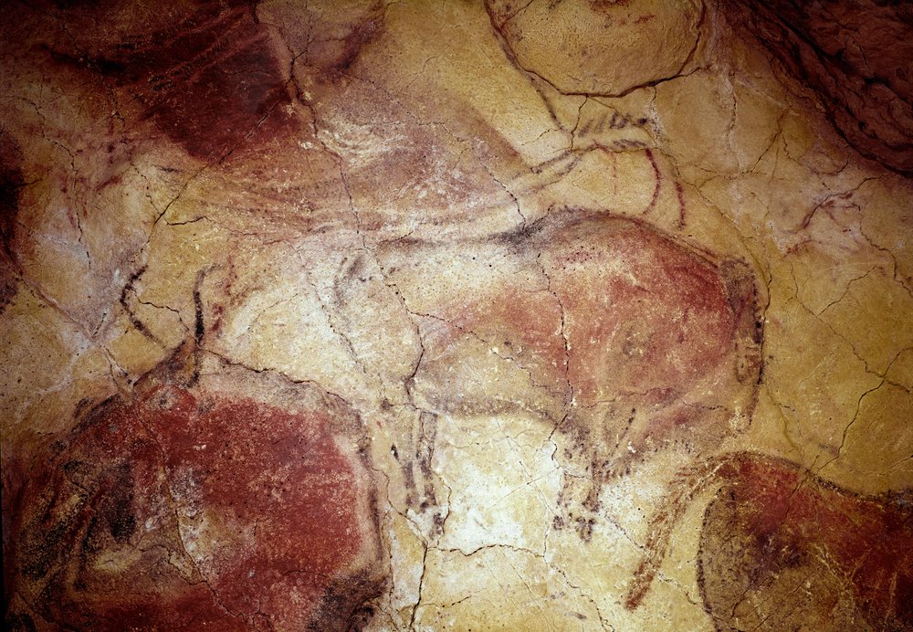 Bison at Rest (rock painting) by Prehistoric Prehistoric