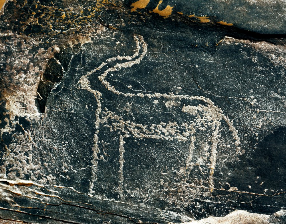 Prehistory, Rock Art: Grave Rock of the Representation of an Antelope