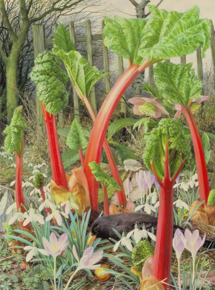 In the Rhubarb Patch, 2000 by Raymond Booth