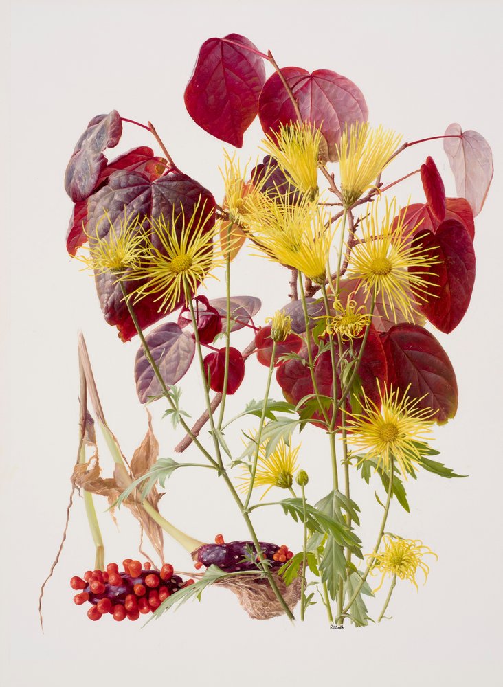 Ukon tachibana by Raymond Booth: Buy fine art print