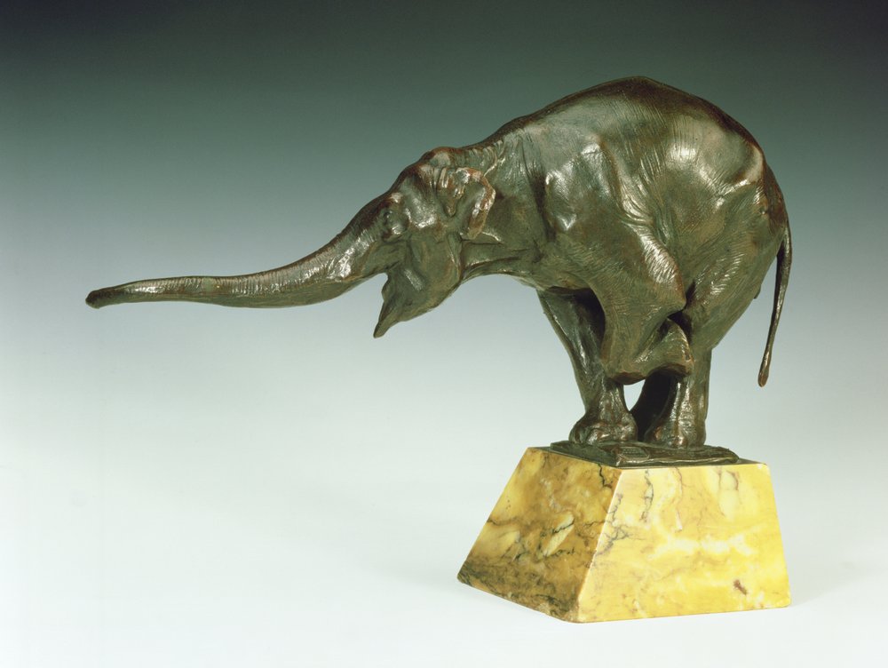 Begging Elephant by Rembrandt Bugatti: Buy fine art print