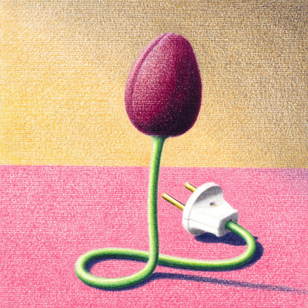 Electric Tulip by Rene Boin: High-quality fine art print