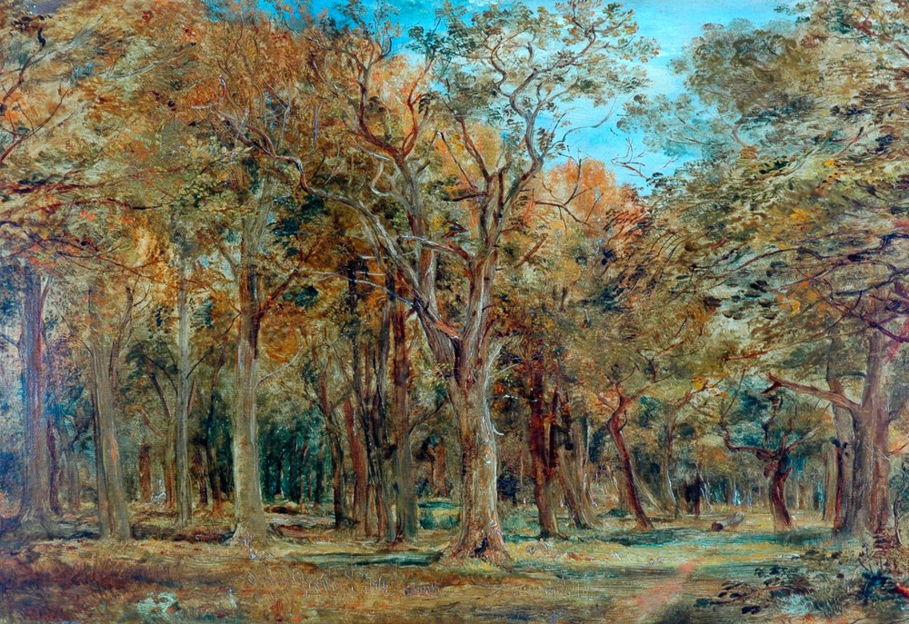Sherwood Forest by Richard Sebastian Bond: Fine art print