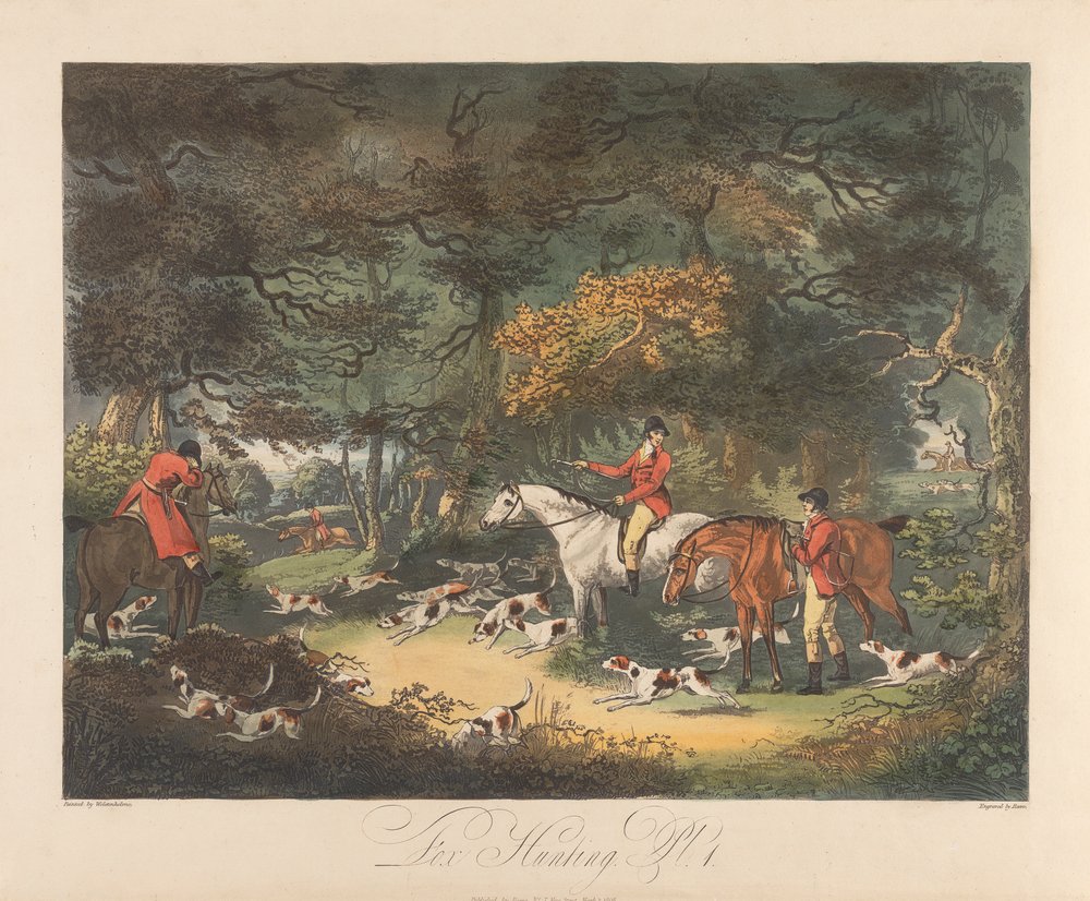 Fox Hunting: Drawing the Covert by Richard Gilson Reeve