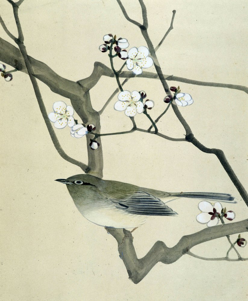 Bird by Riu Chim: Premium art reproduction