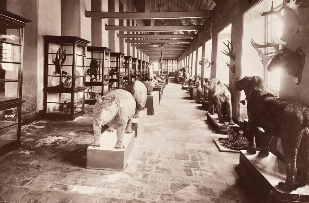 The National Museum in Bangkok, c.1890 by Robert Lenz
