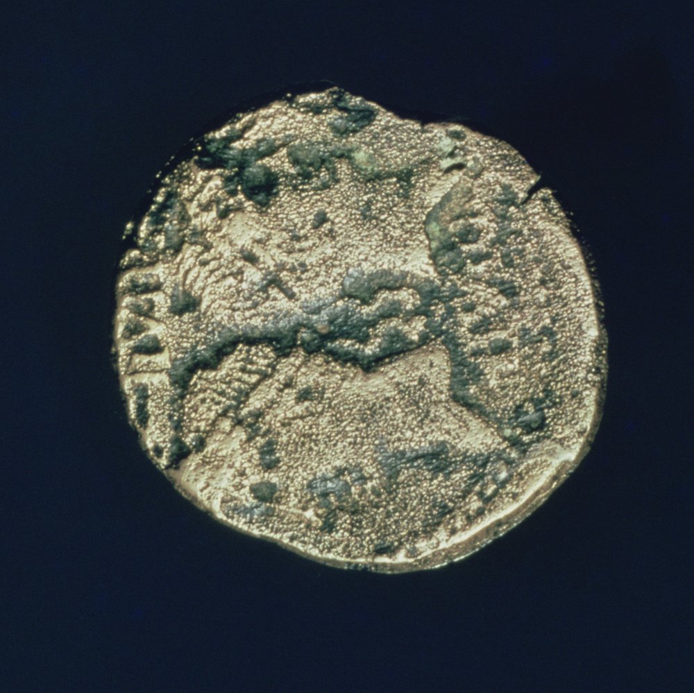 Coin with Heads of Julius Caesar and Augustus by Roman