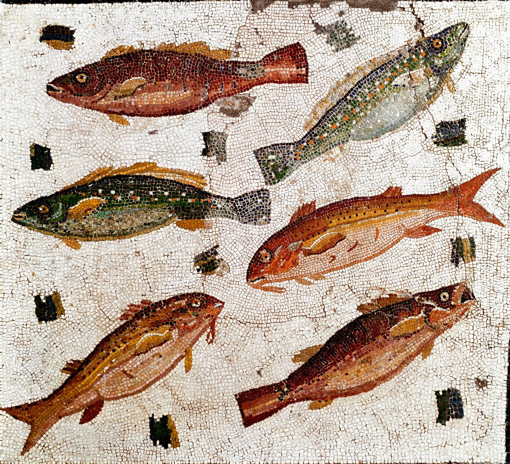 Roman Art: Mosaic Depicting Fishes by Roman